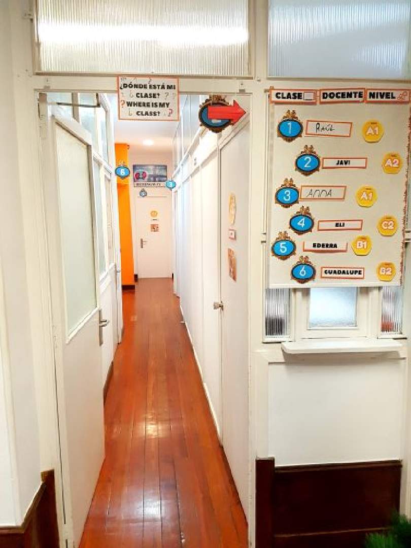 Instituto Hemingway (Bilbao, Spain) - Reviews - Language International