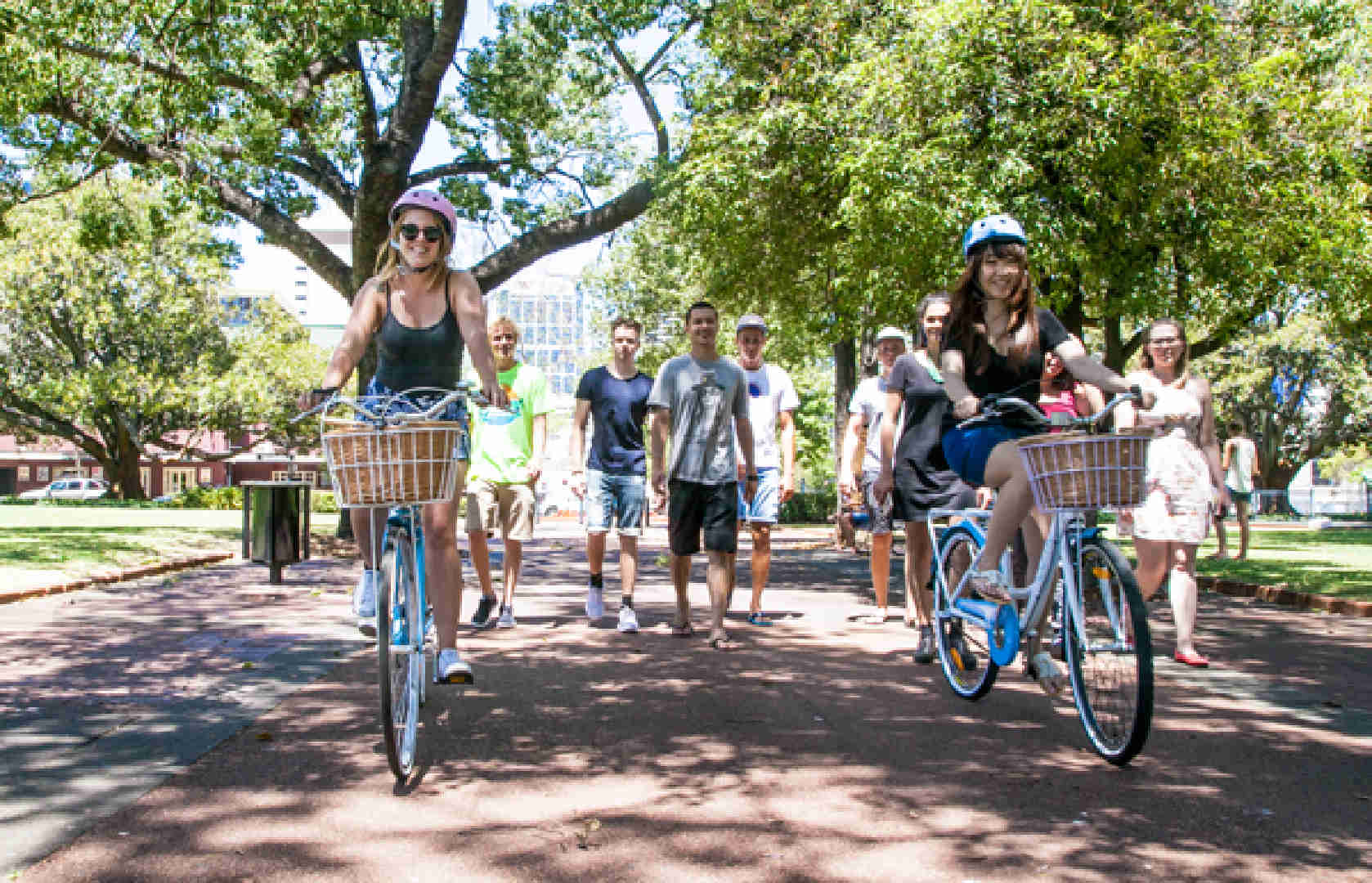 Language Links International (Perth, Australia) - Reviews - Language ...