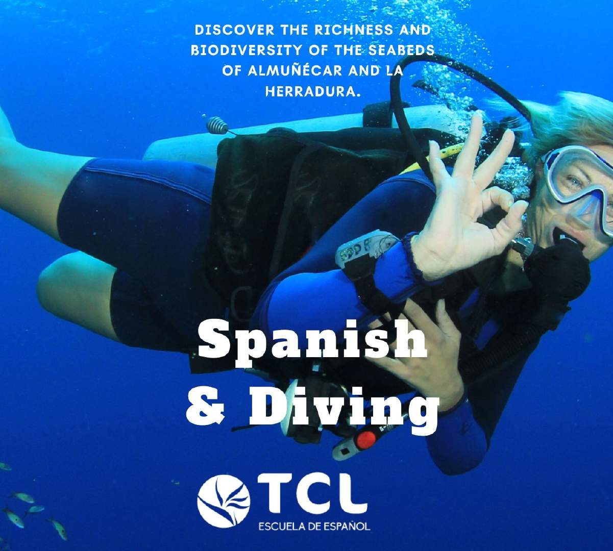 Semintensive Spanish course - Tropical Coast Languages | Language ...
