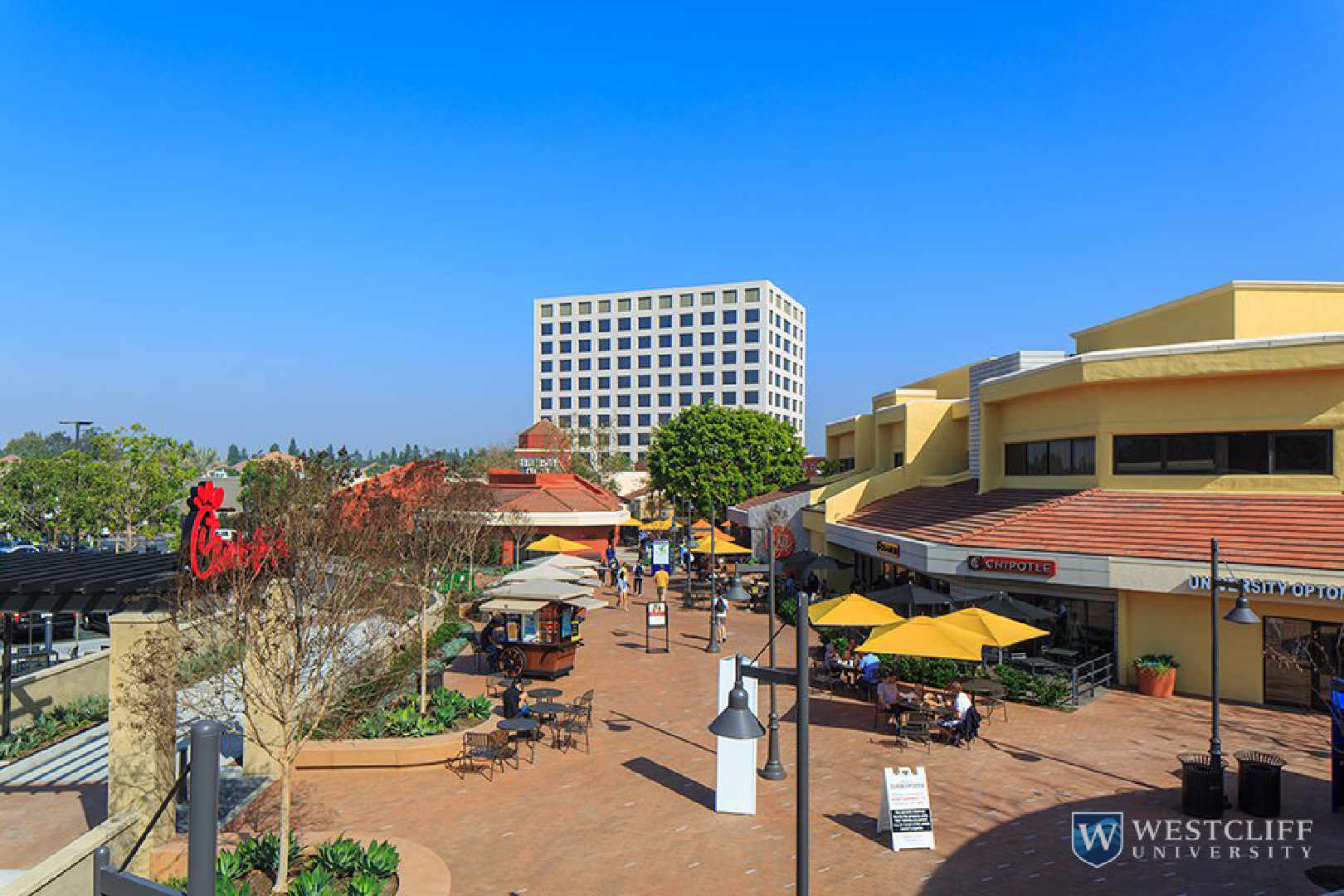 Doctor of Business Administration - Westcliff University | Language ...